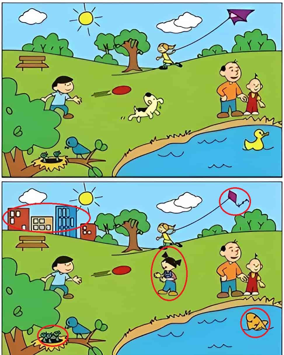 Spot The Difference Can You Spot 5 Differences Between The Two Images